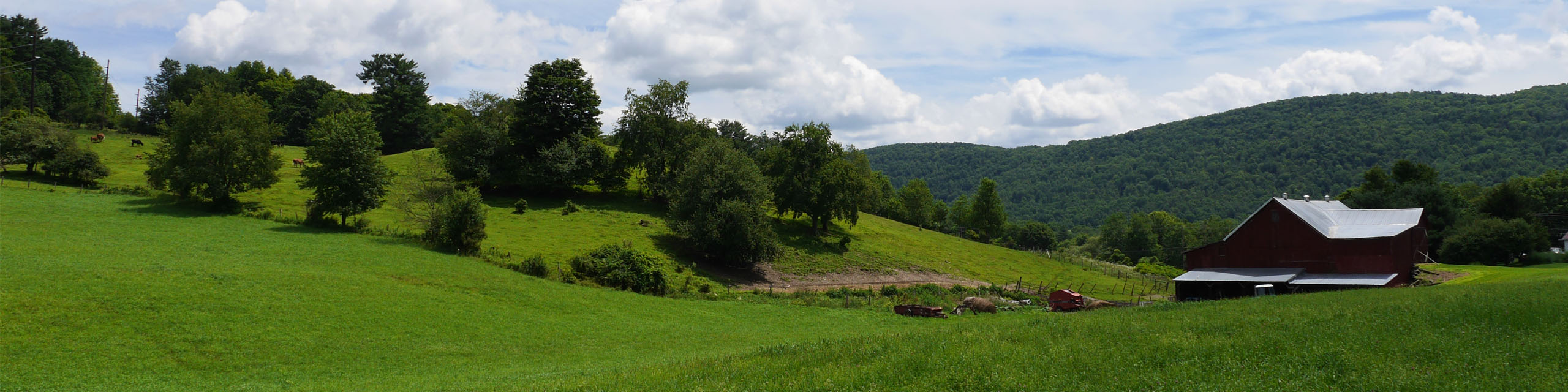 Jared Stanley – Producer – Videographer – Reporter